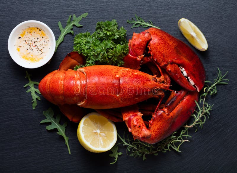 Homard rouge image stock. Image du seafood, gourmet, dîner - 75973799