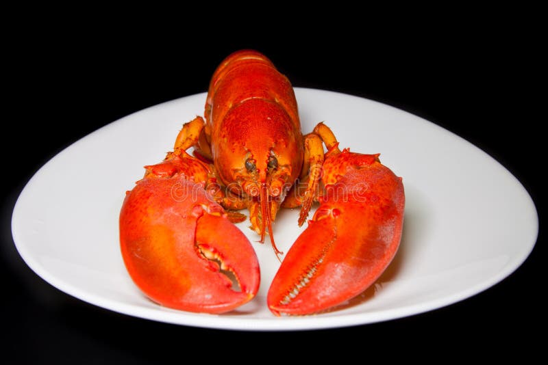 Homard Rouge Sur Une Assiette Blanche Photo stock - Image du ...
