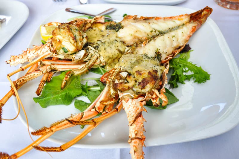 Homard rouge entier image stock. Image du rouge, entier - 31035005