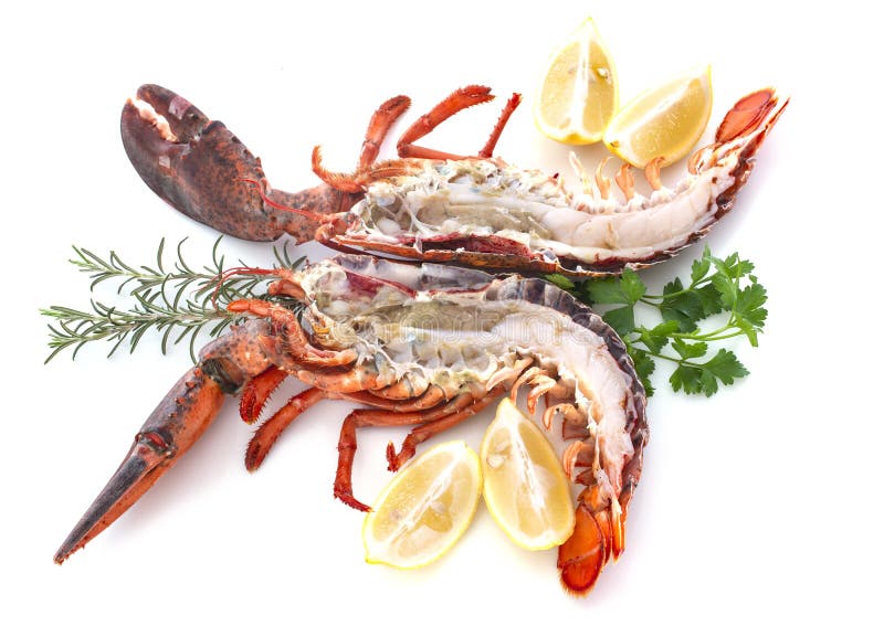 Homards dans le studio photo stock. Image du nourriture - 134130976