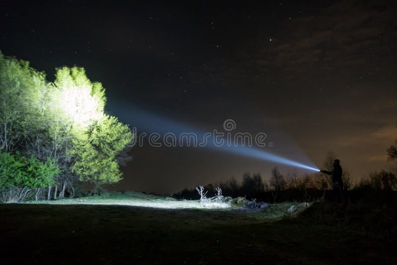 Hombre Con La Linterna En Bosque Imagen de archivo - Imagen de bosque ...