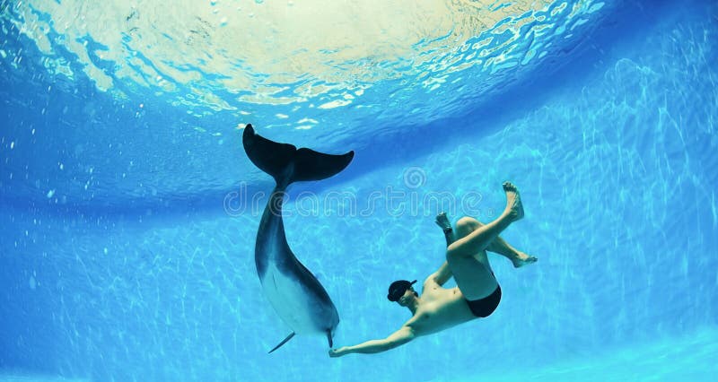 Hombre y delfín imagen de archivo. Imagen de brazo, ocio - 25568477
