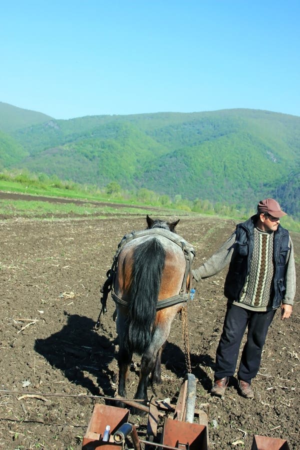 Hombres Que Comienzan A Arar Imagen. Imagen: 14230884