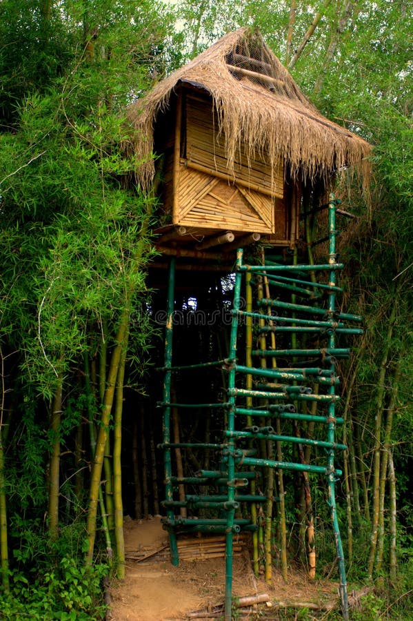 Animals Treehouse Stock Photos - Free & Royalty-Free Stock Photos from ...