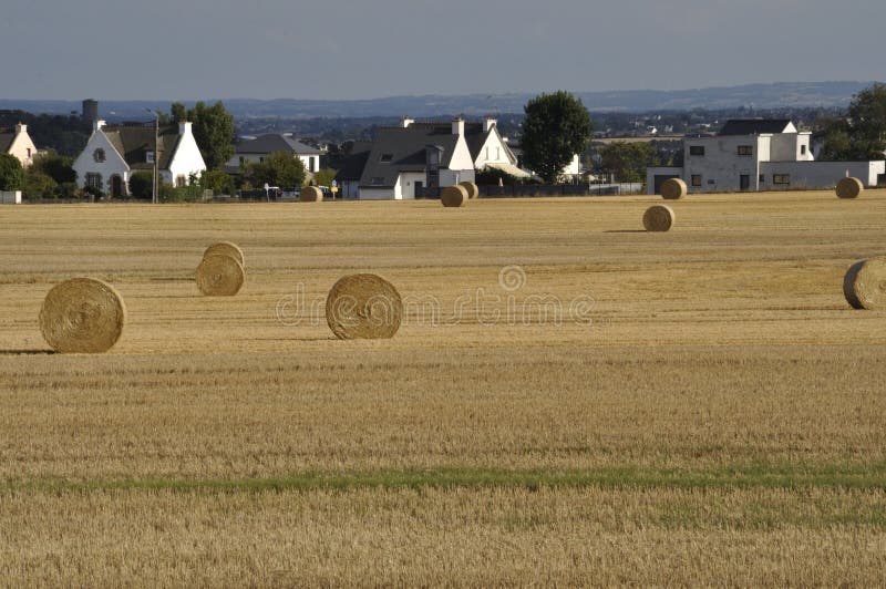 Home Behind a Harvested Field Stock Photo - Image of environmental ...