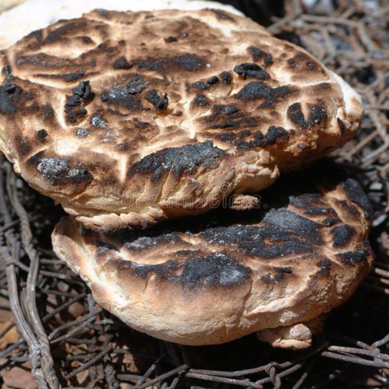 Home Bread Roasting in a Bbq Stock Photo - Image of view, nutrient ...