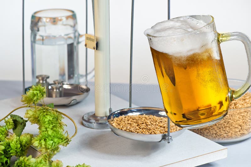 Home Brewing of Beer. stock photo. Image of malt, beverage - 205035062