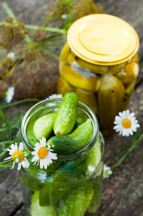 Home Canning Cucumbers with Spices Stock Photo - Image of crunchy, dill ...