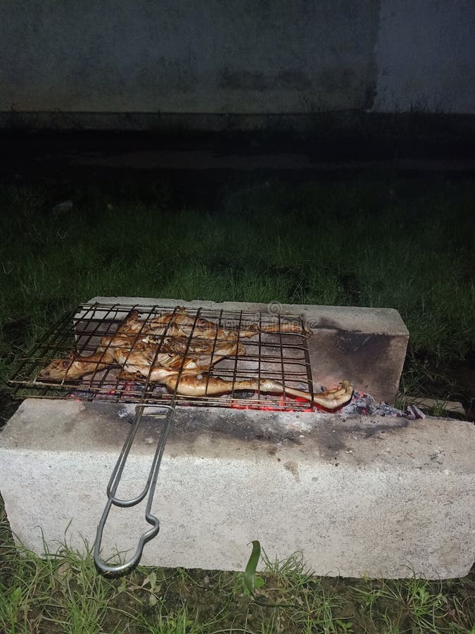 Home Cooked Chicken is Delicious Stock Photo - Image of chicken, home ...