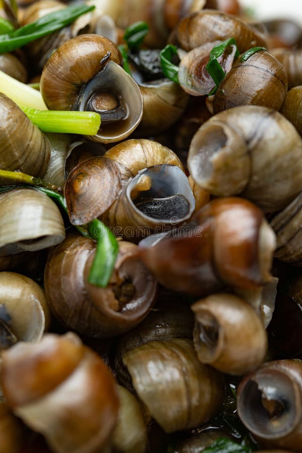Home Cooked Dish of Field Snail Close Up at Vertical Composition Stock ...
