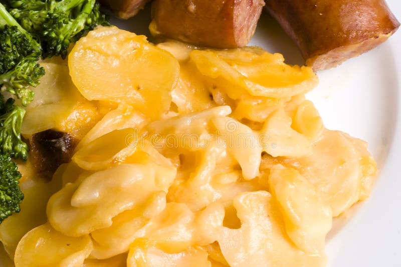 Home cooked meal stock image. Image of gratin, cheese - 3779701