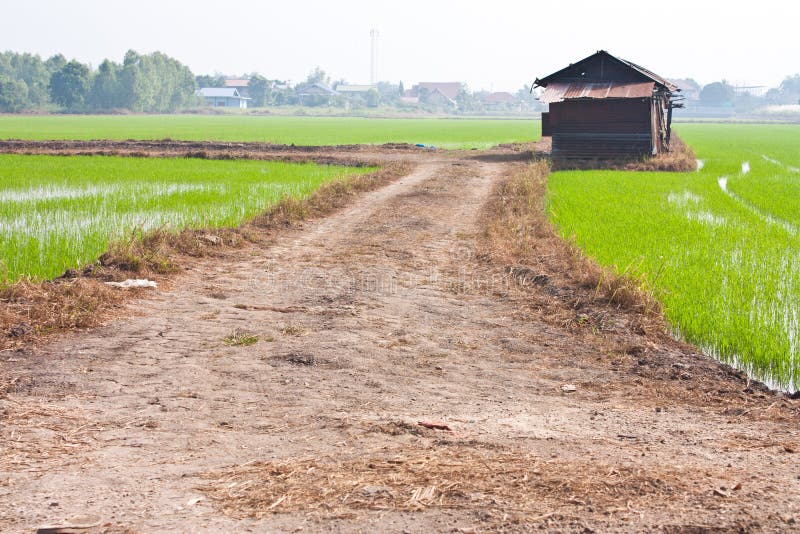 Home country. stock photo. Image of agriculture, field - 28726280