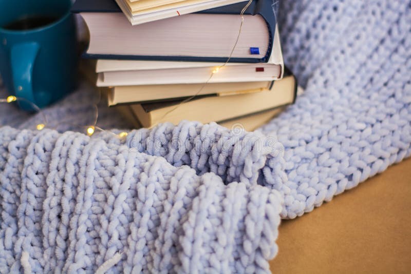 Cozy Home Library Interior with Collection of Different Books on ...