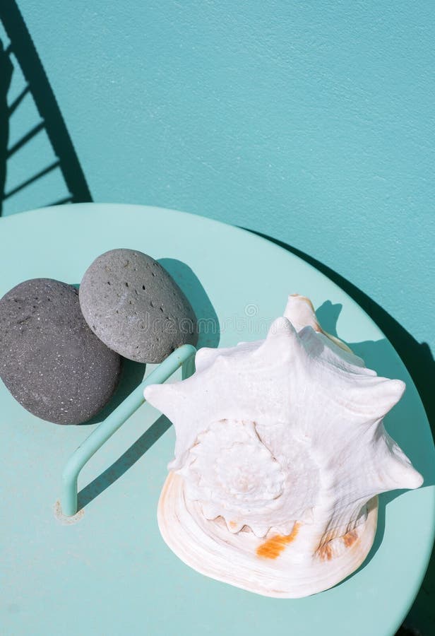 Home Decor Shell and Stones. Sea, Vacation Aesthetic Wallpapers Stock ...