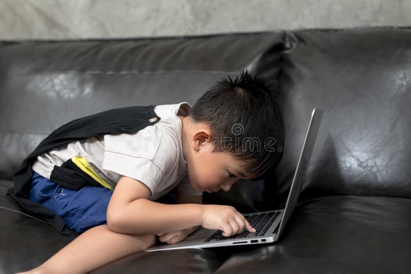 A Home Distance Learning, Boys Studying Online with Notebooks at Home ...