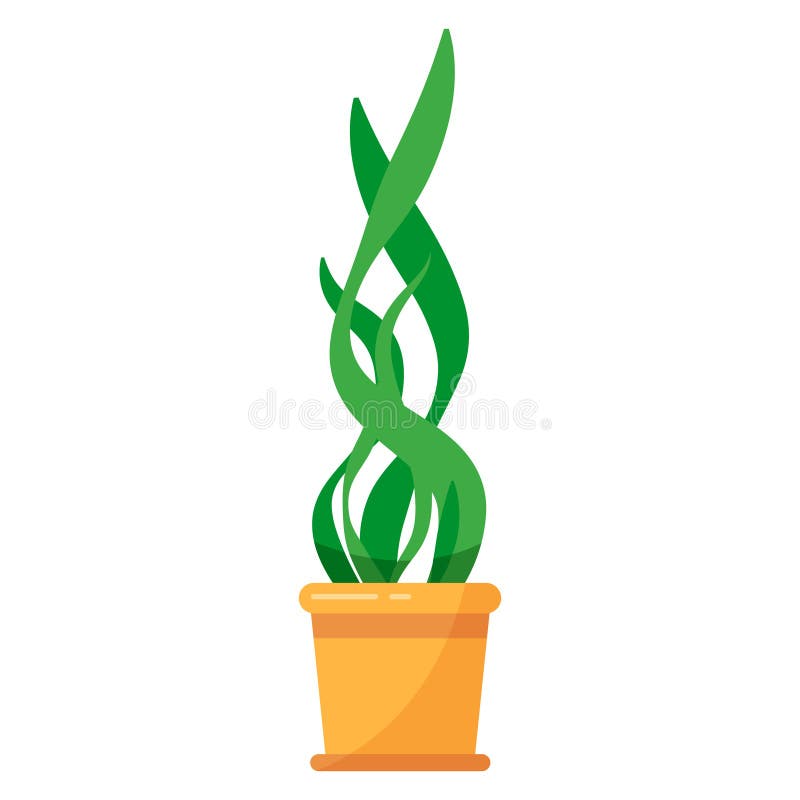 Home Flower in a Pot, Flat Vector Illustration Isolated. Stock Vector ... Home Flower in a Pot, Flat Vector Illustration Isolated. Stock Vector ...