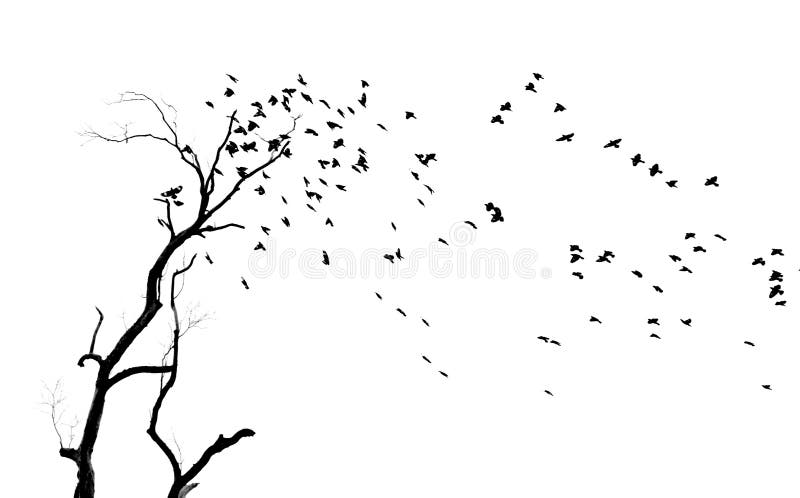 Home flying home stock image. Image of security, sensual - 50719553