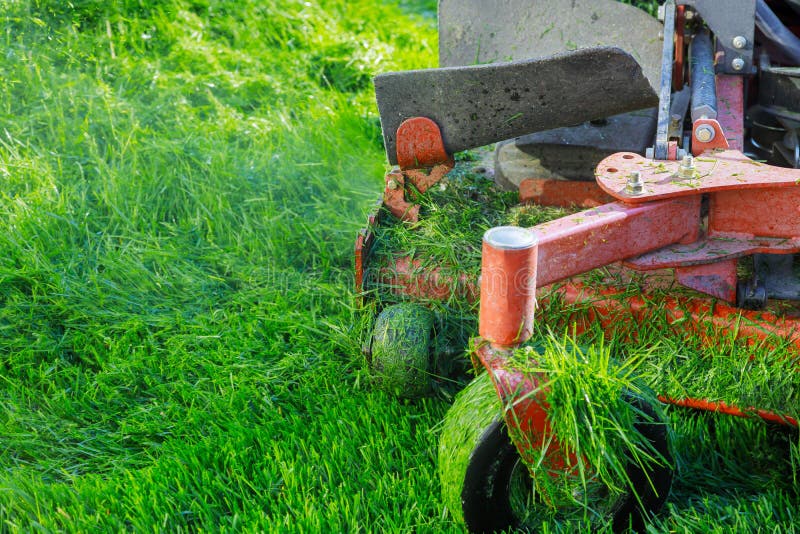Home Garden Grass Gardener Cutting Lawn Grass Stock Photo - Image of ...