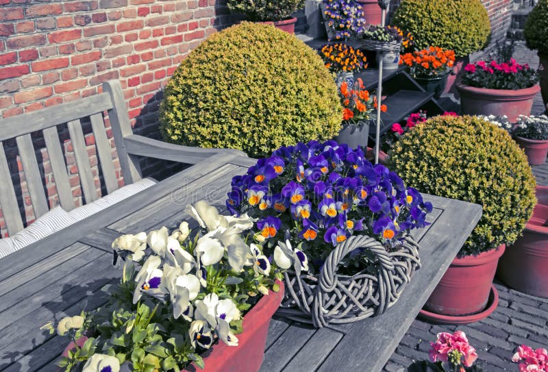 Home garden stock image. Image of furniture, backyard - 31186133