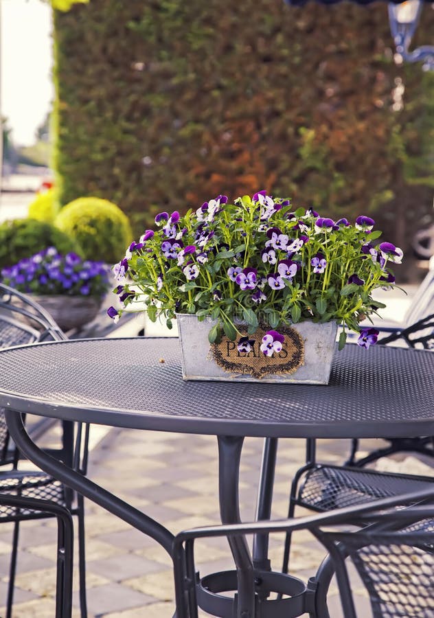 Home garden table stock image. Image of plant, flower - 31186131