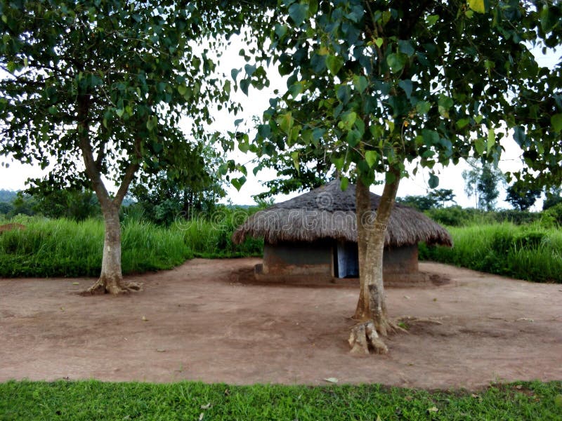 Home .grass thatch house stock photo. Image of grass - 256806428