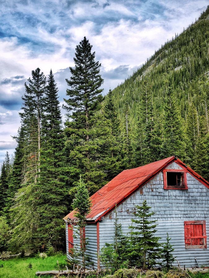 Home in green nature stock photo. Image of green, forests - 191822086