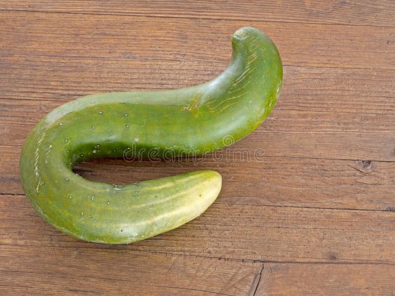 306 Deformed Cucumber Stock Photos - Free & Royalty-Free Stock Photos ...