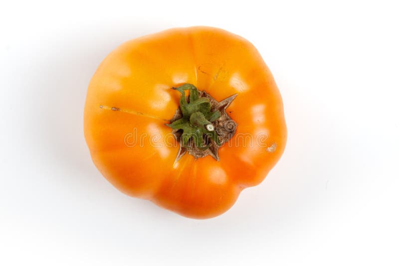 Home grown tomato stock photo. Image of tomato, nature - 99531058
