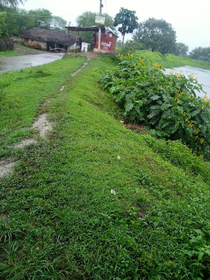 Home House Indian Village Trees Stock Photo - Image of grass, backyard ...