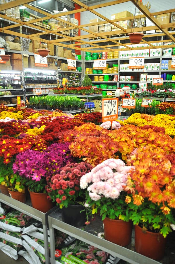 Home improvement store editorial stock photo. Image of collect - 23498273