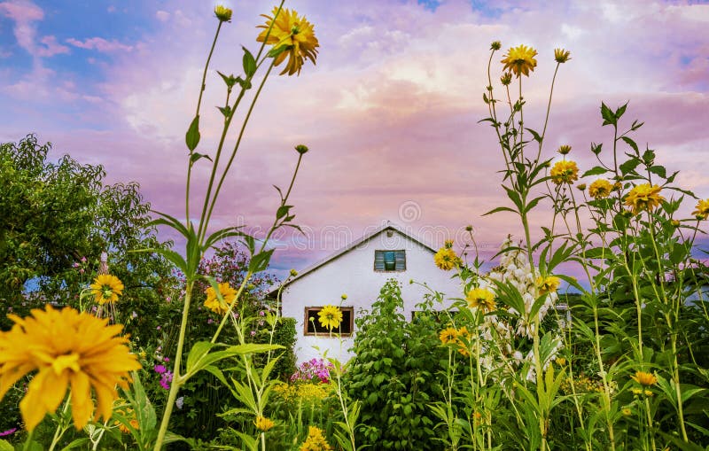 The home of joy stock photo. Image of landscape, architecture - 102122398