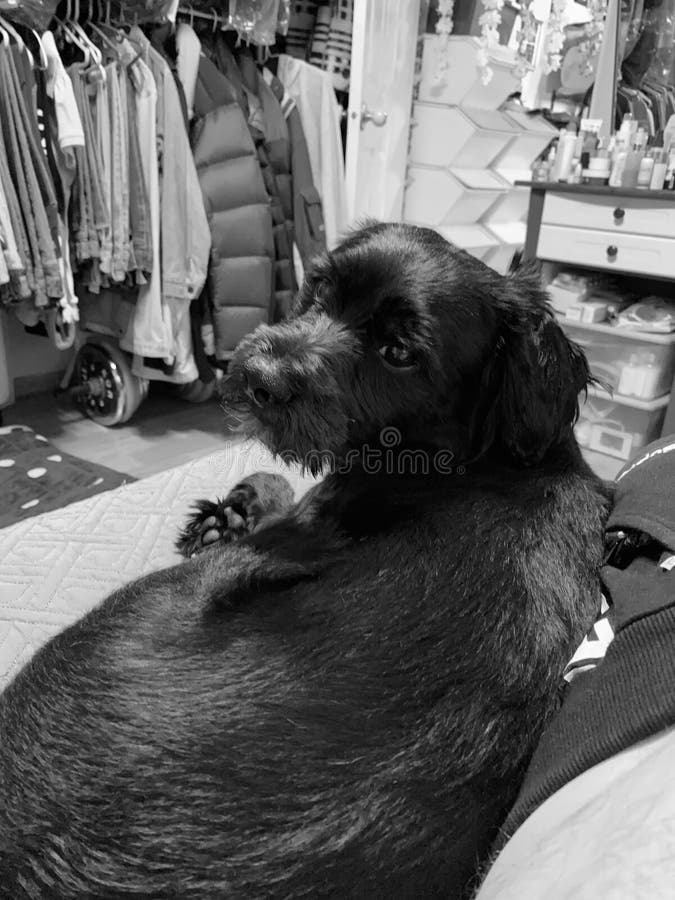 Home life stock image. Image of home, room, life, color - 198497669