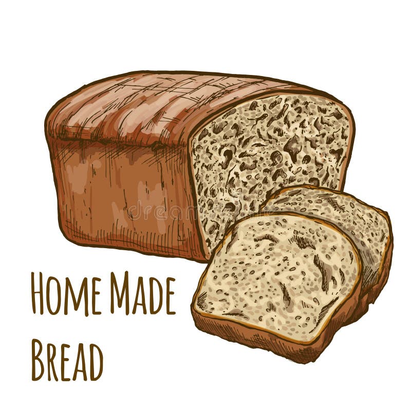 Home made bread full color stock vector. Illustration of baguette ...
