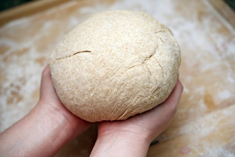 Home Made Bread stock photo. Image of homemade, hands - 36286678
