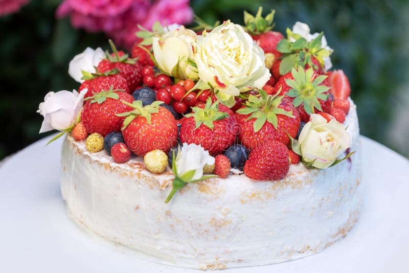 Fruit Cack Stock Photos - Free & Royalty-Free Stock Photos from Dreamstime