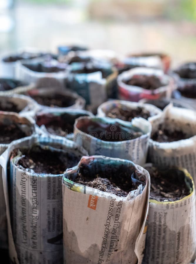 Homemade Compostable, Biodegradable Newspaper Seed Starter Pots ...