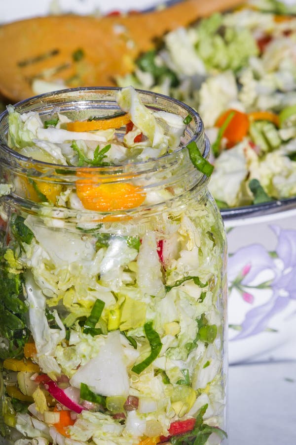 Home Made Cultured or Fermented Vegetables Stock Photo - Image of diet ...
