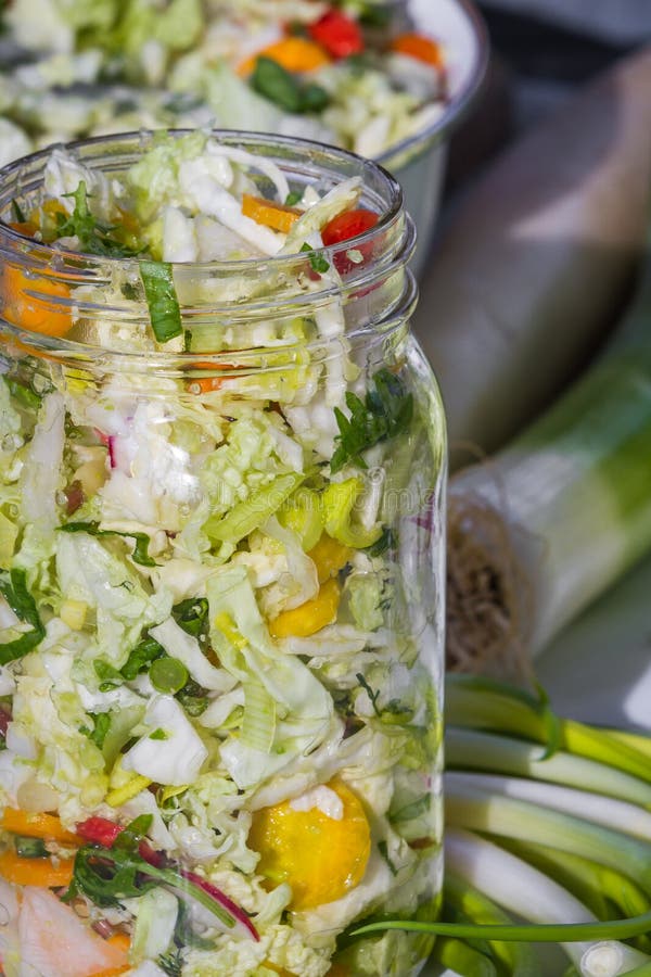 Home Made Cultured or Fermented Vegetables Stock Image - Image of ...