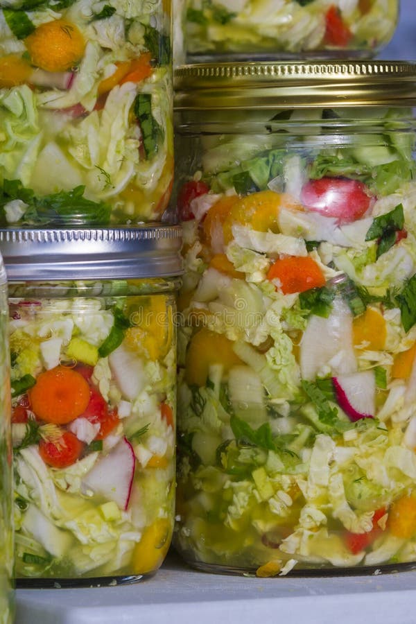 Home Made Cultured or Fermented Vegetables Stock Image - Image of ...