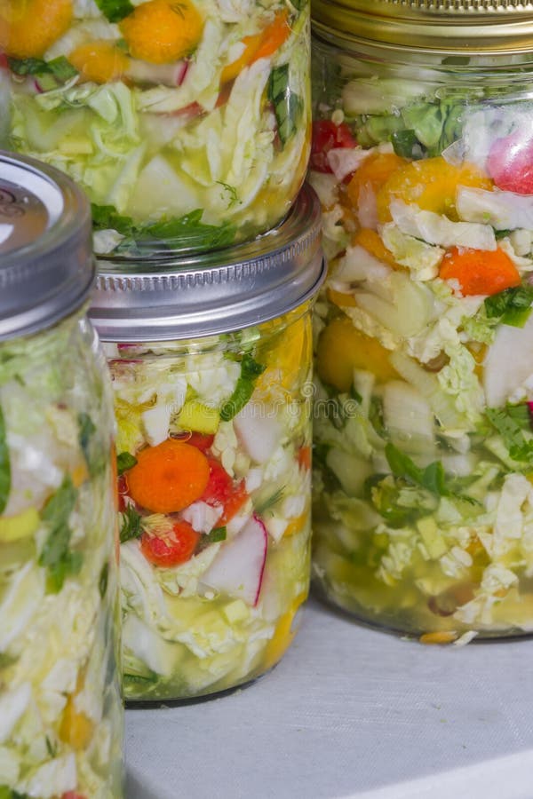 Home Made Cultured or Fermented Vegetables Stock Photo - Image of ...