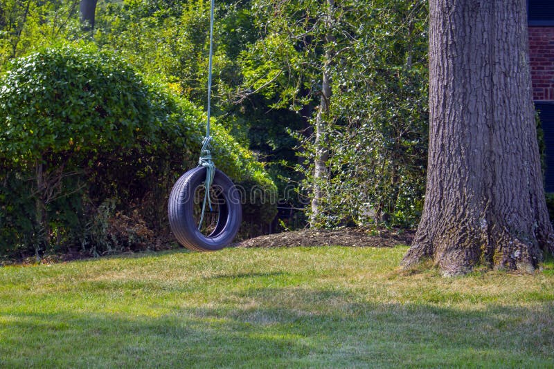 Home Made Fun Black Old Tire Swing Roped on a Tree Limb Stock Photo ...
