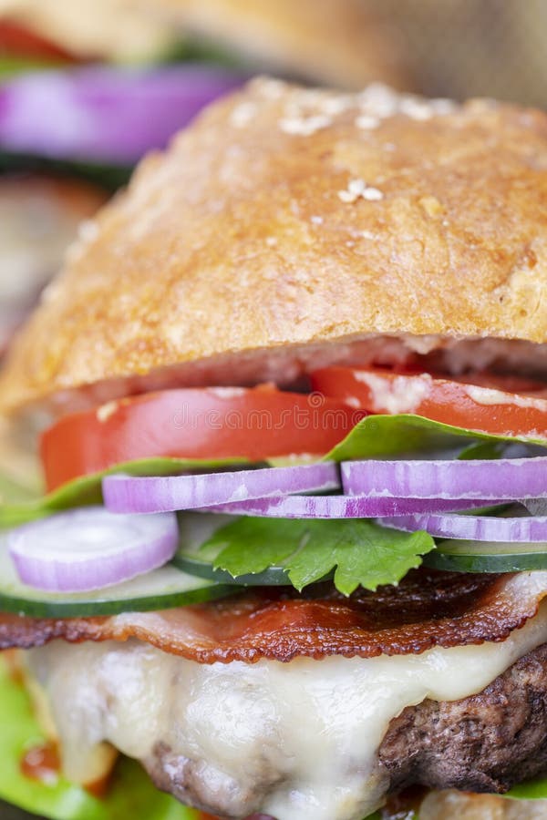 Home made hamburger stock image. Image of home, rustic - 147912127