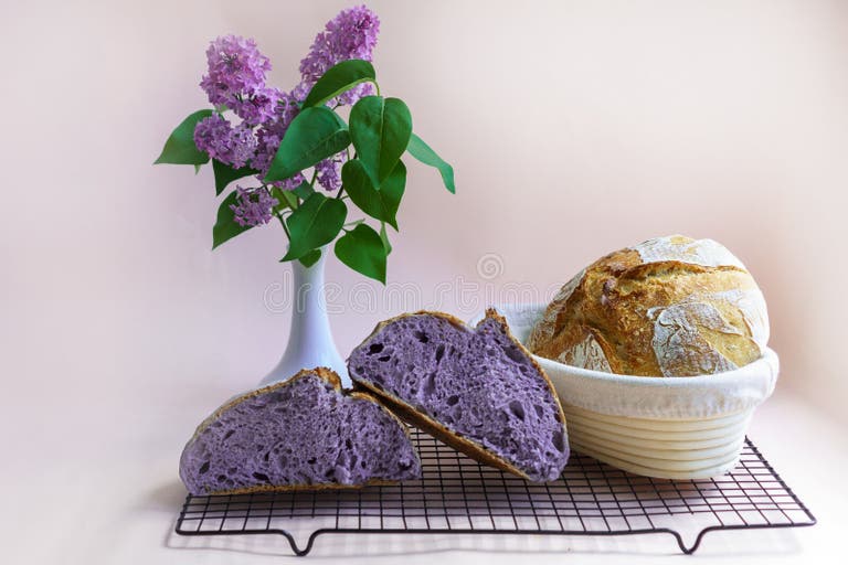 Home made purple bread stock image. Image of potato - 320044333
