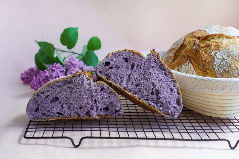 Home made purple bread stock image. Image of powder - 320044347