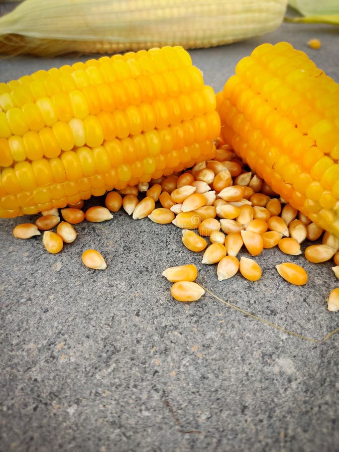 Home Made Sweet Corn Broken In Half Stock Photo - Image of cobs, cooked ...