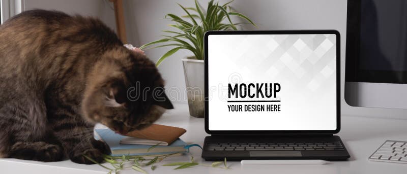 Home Office Desk with a Cat, Tablet and Supplies on the Table Stock ...