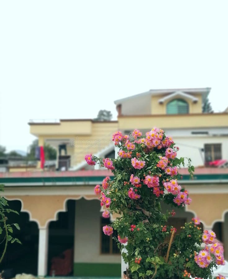 Mandhole Stock Photos - Free & Royalty-Free Stock Photos from Dreamstime