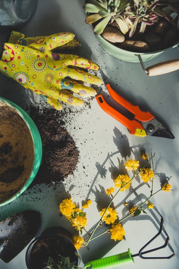 Home Plant Maintenance Tool Stock Photo - Image of spring, table: 137732712
