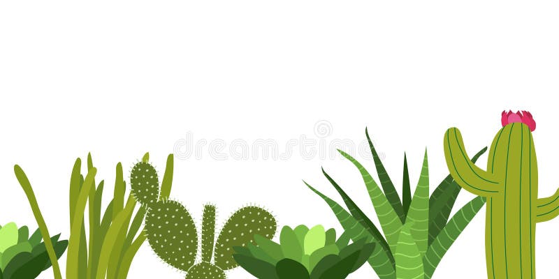 Home Plants Border with Cactus Stock Vector - Illustration of spring ...
