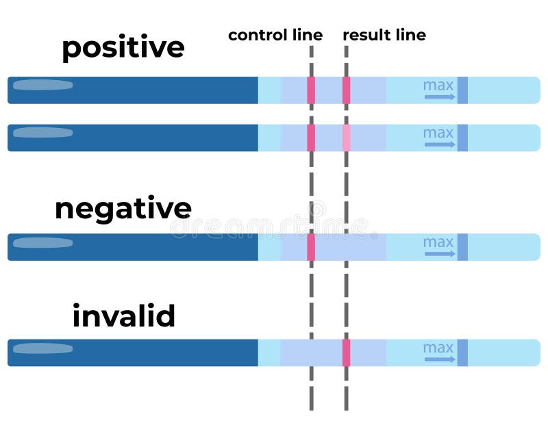 Home Pregnancy Test and Decoding Its Results, Infographic for ...